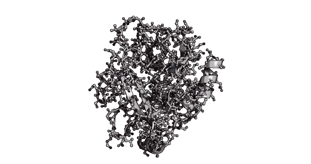 New findings on the power of enzymes could reshape biochemistry ...